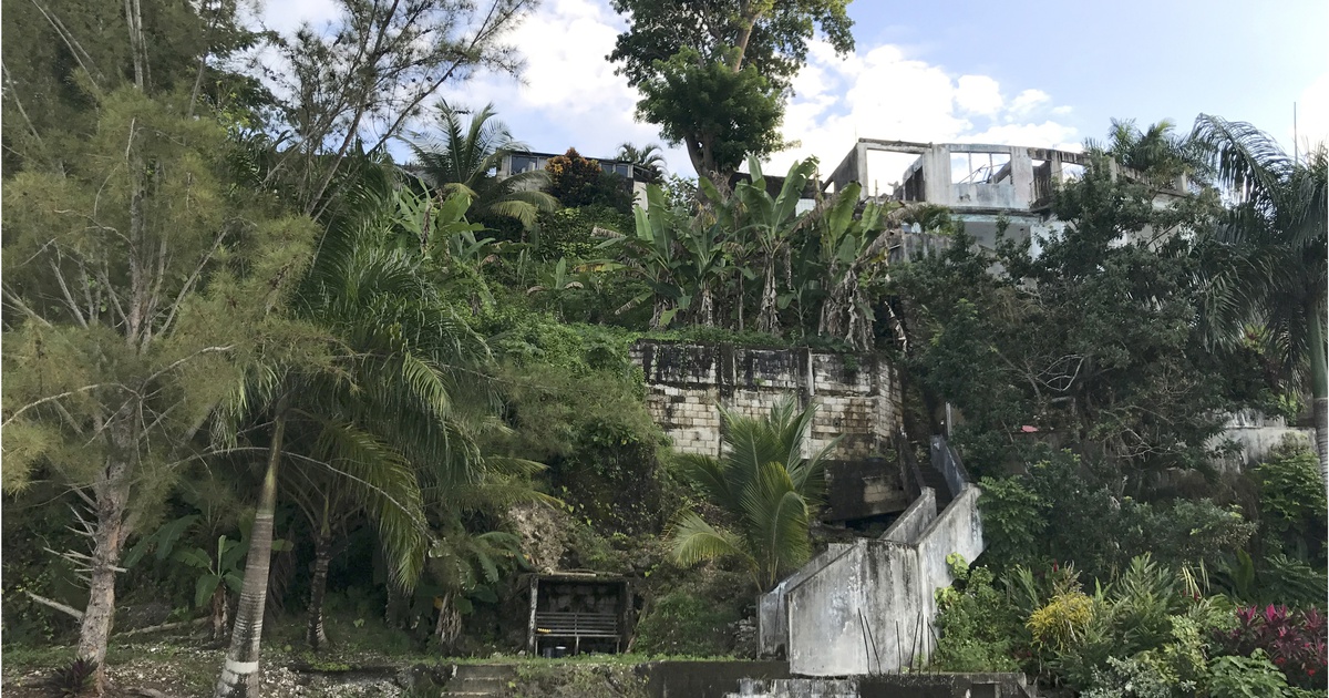 News | Thomas Dane Gallery