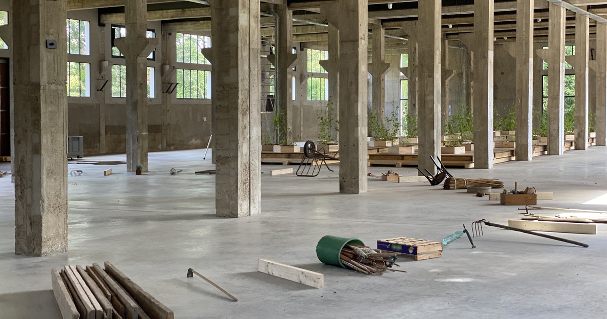 News | Thomas Dane Gallery